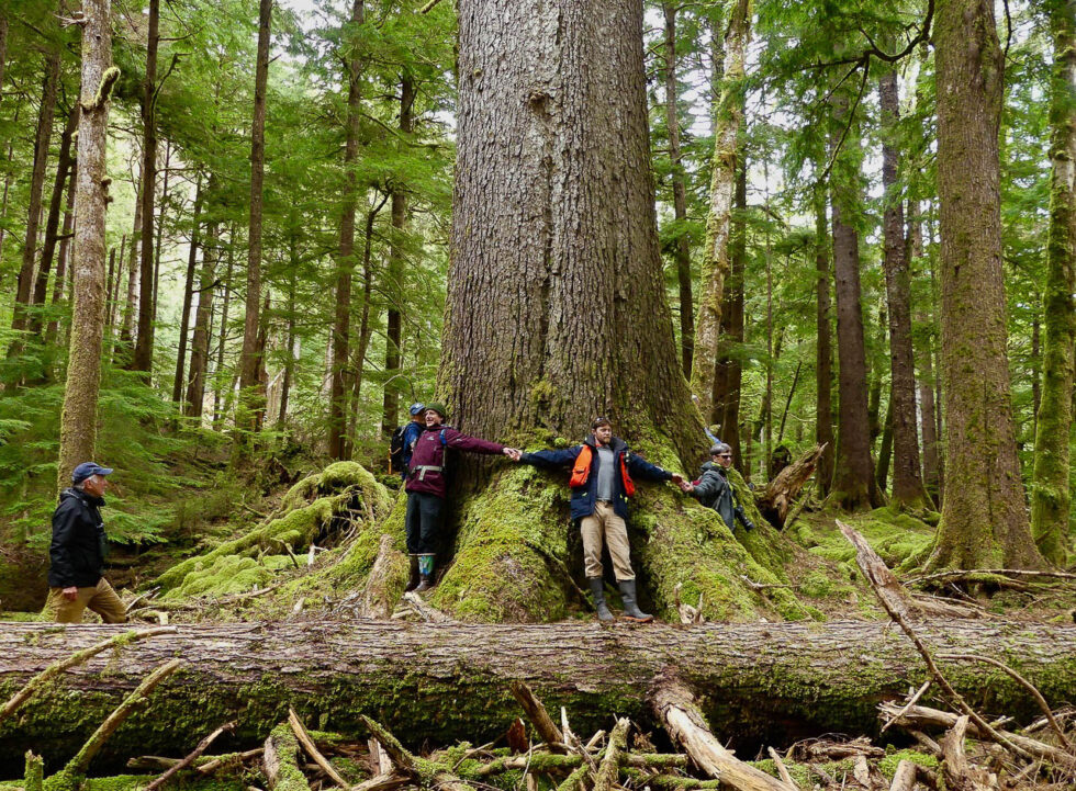 ePostcard #155: A Voyage to Haida Gwaii | Cloud Ridge Naturalists ...